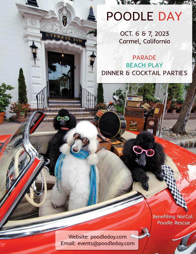 EVENTS · Crossroads Carmel